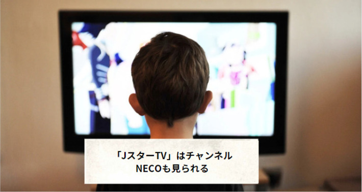 「JスターTV」はチャンネルNECOも見られる