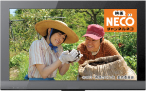 「JスターTV」はチャンネルNECOも見られる